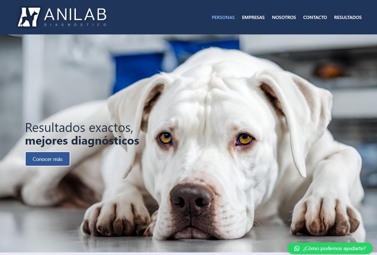 Diseño web Mendoza. Creamos Paginas web en Mendoza Argentina - Era ...